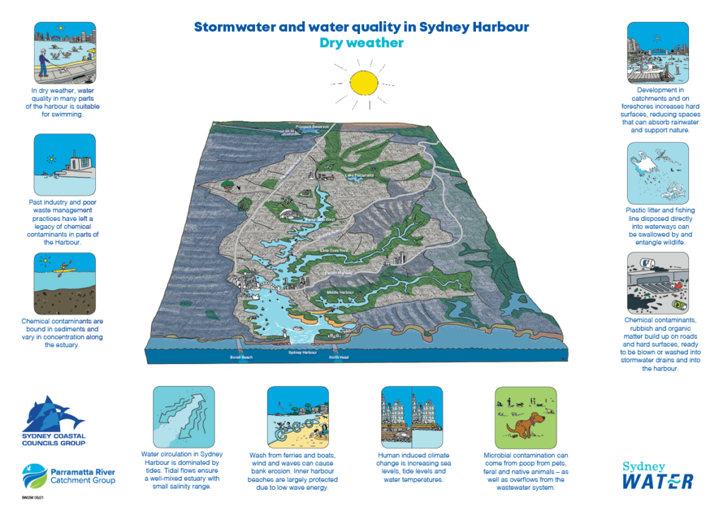 Joel Tarling Sydney Water Illustration - Sydney Catchment - Joel Tarling